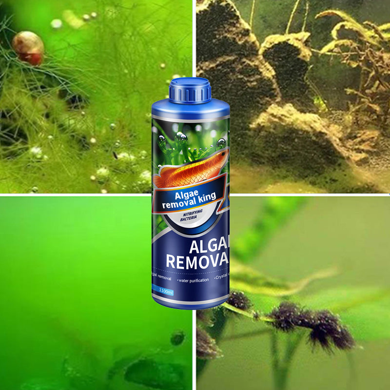 【Algae King】Crazy Aquatic Weed Algae Remover – stockholmget